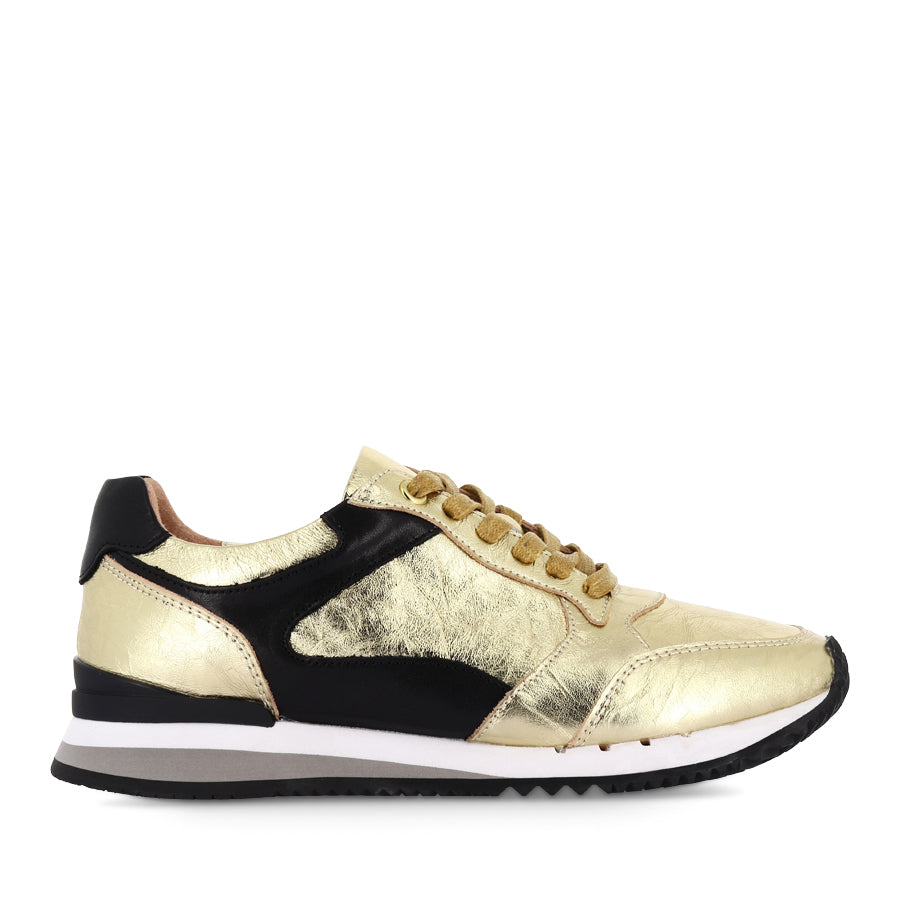 GINO - GOLD CRUSH COMBO – Evans Shoes