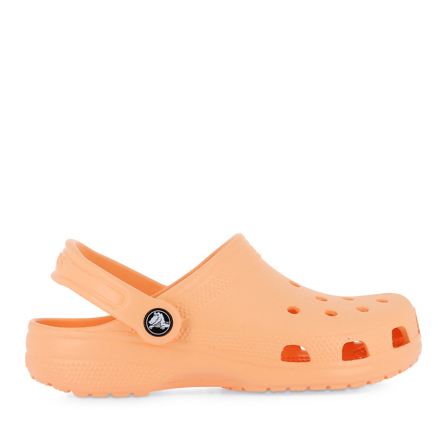 CLASSIC CLOG - ELECTRIC SUNSTONE – Evans Shoes