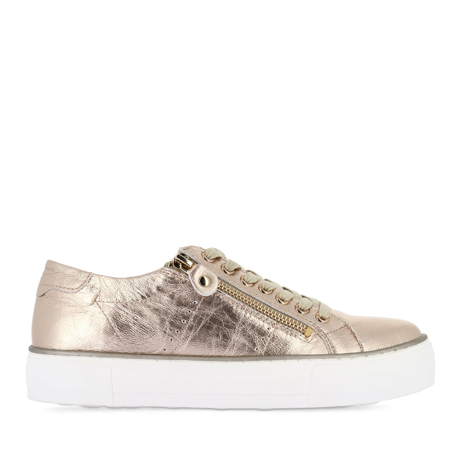 FROGGY - CHAMPAGNE LEATHER – Evans Shoes