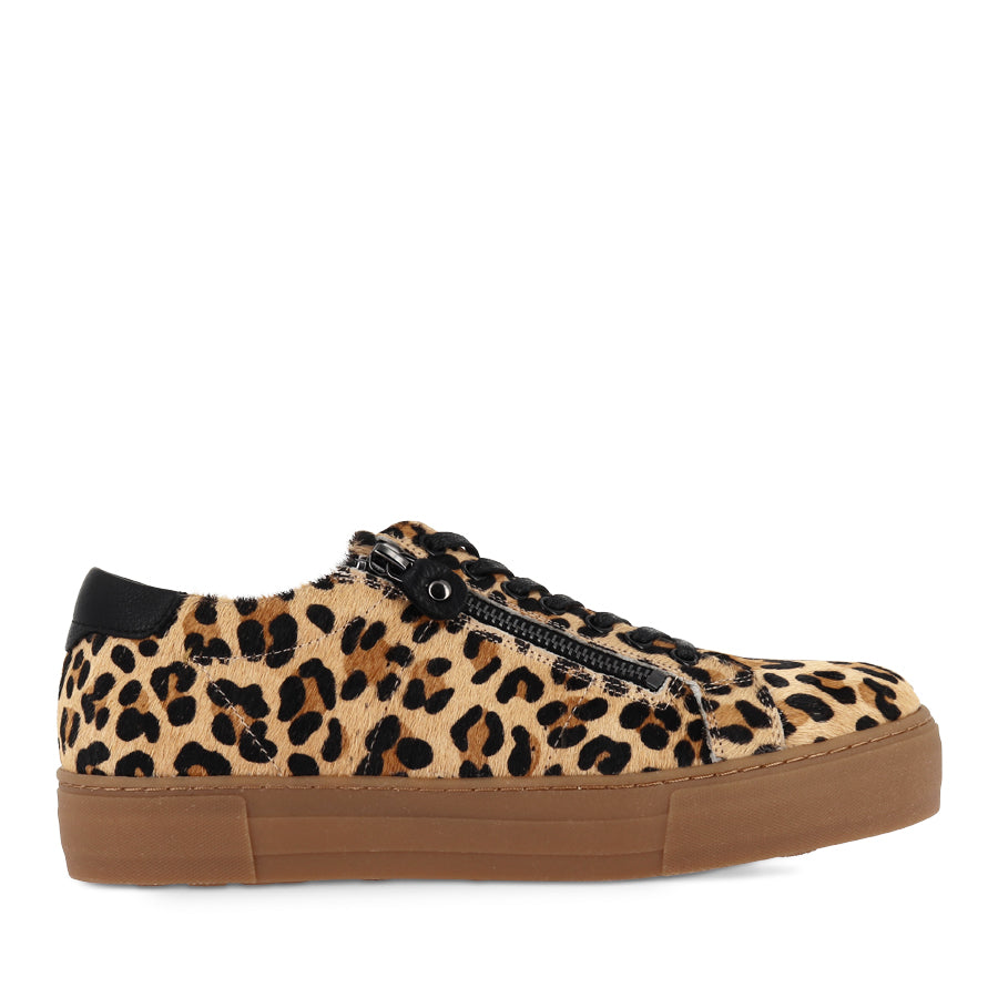 FROGGY - TAN LEOPARD BLACK MULTI – Evans Shoes