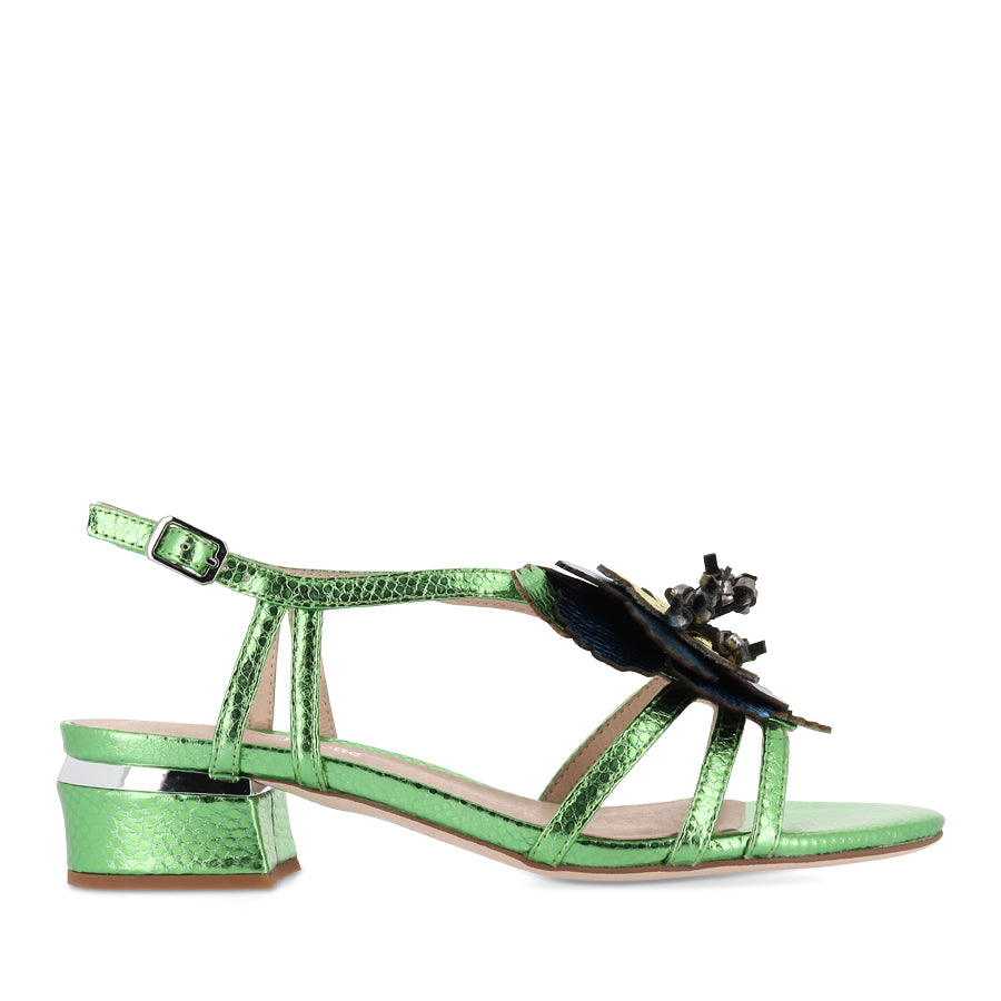 TALLUHA - LIME MULTI LIZARD LEATHER – Evans Shoes