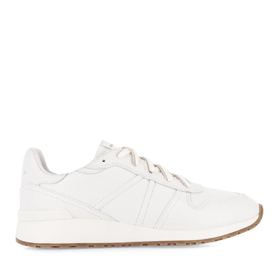 RAIDER - WHITE LEATHER – Evans Shoes